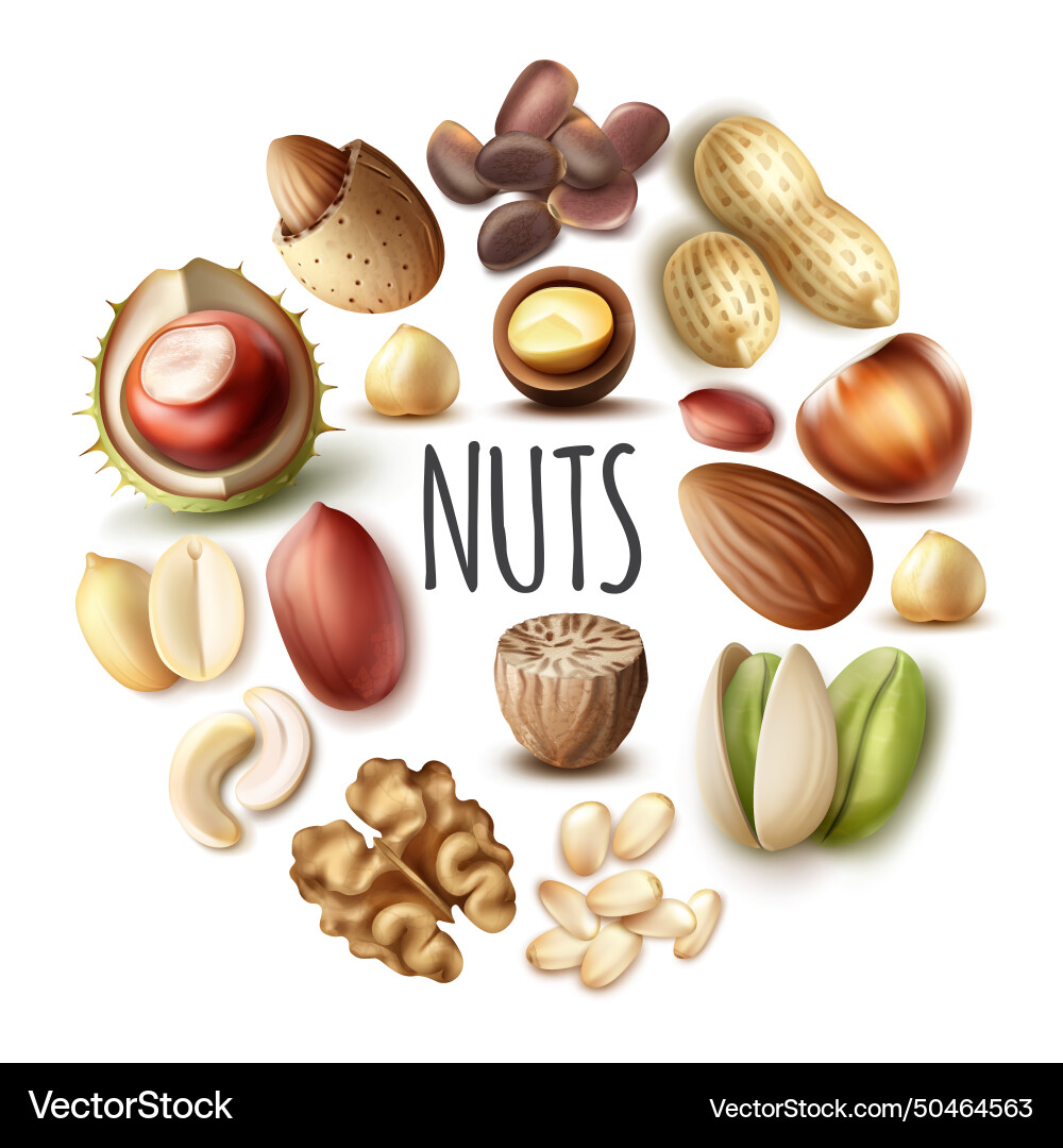 Realistic nuts round concept Royalty Free Vector Image