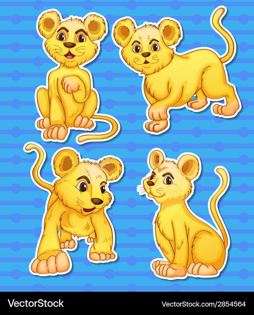 Lion set Royalty Free Vector Image - VectorStock