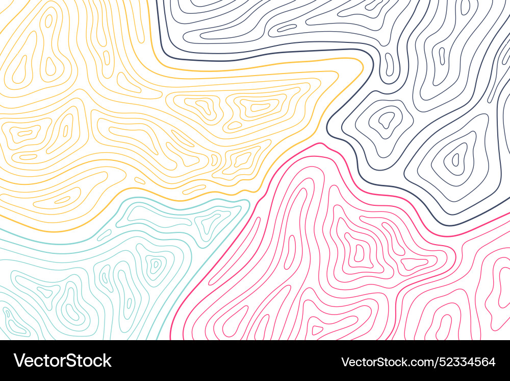 Topographic map background Royalty Free Vector Image