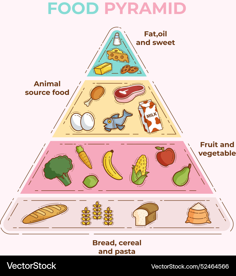 Food essentials pyramids for proper nutrition Vector Image