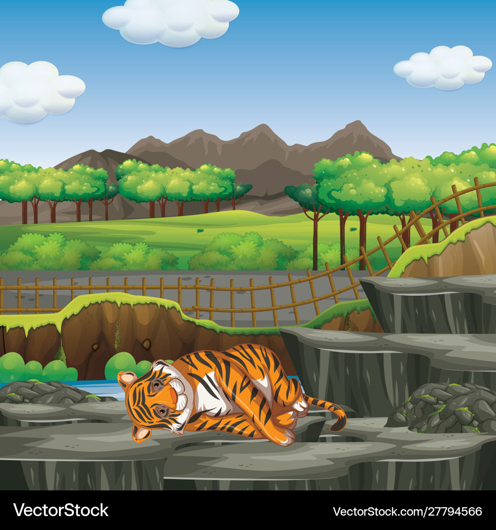 Scene with tiger in zoo Royalty Free Vector Image