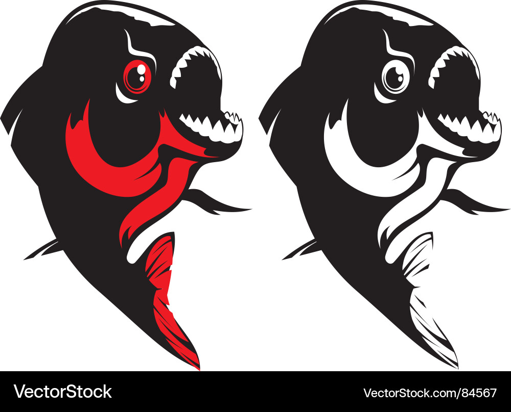 Piranha Royalty Free Vector Image - VectorStock