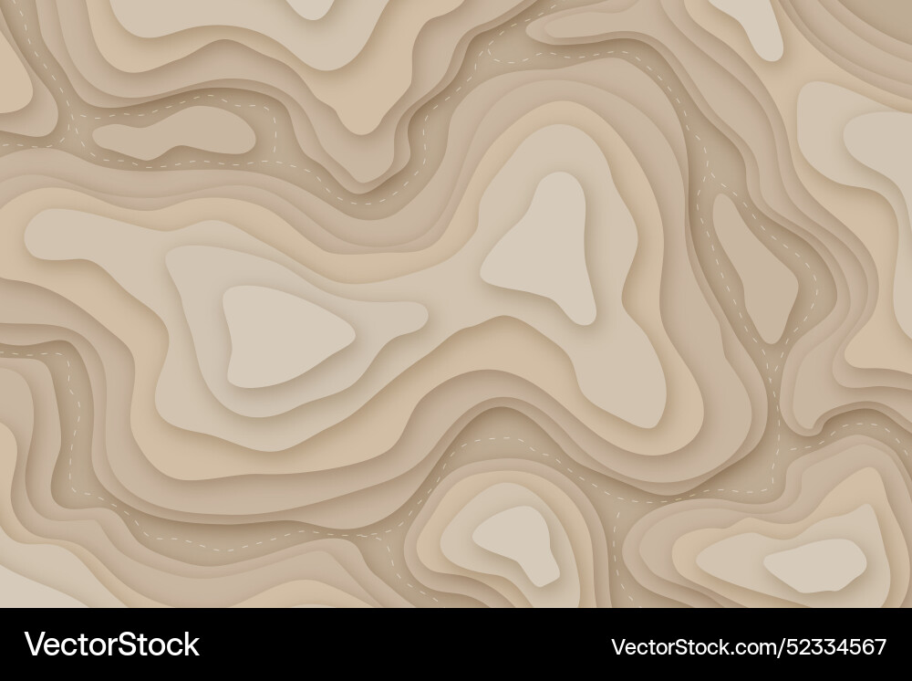 Topographic map background Royalty Free Vector Image
