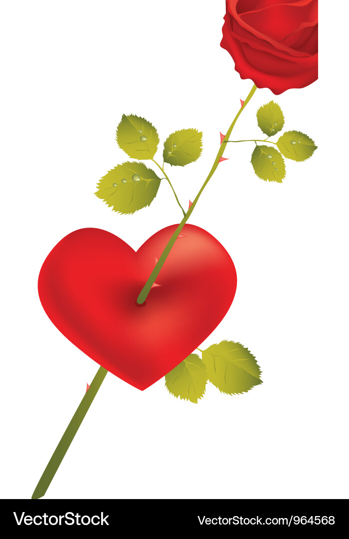 Rose with heart Royalty Free Vector Image - VectorStock