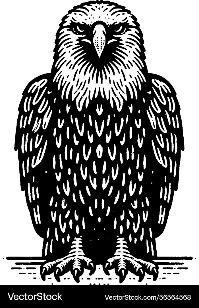 Simple golden eagle front view design vintage Vector Image