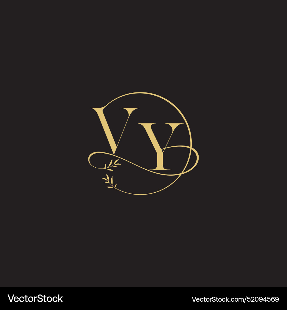 Circle and organic style vy wedding monogram Vector Image