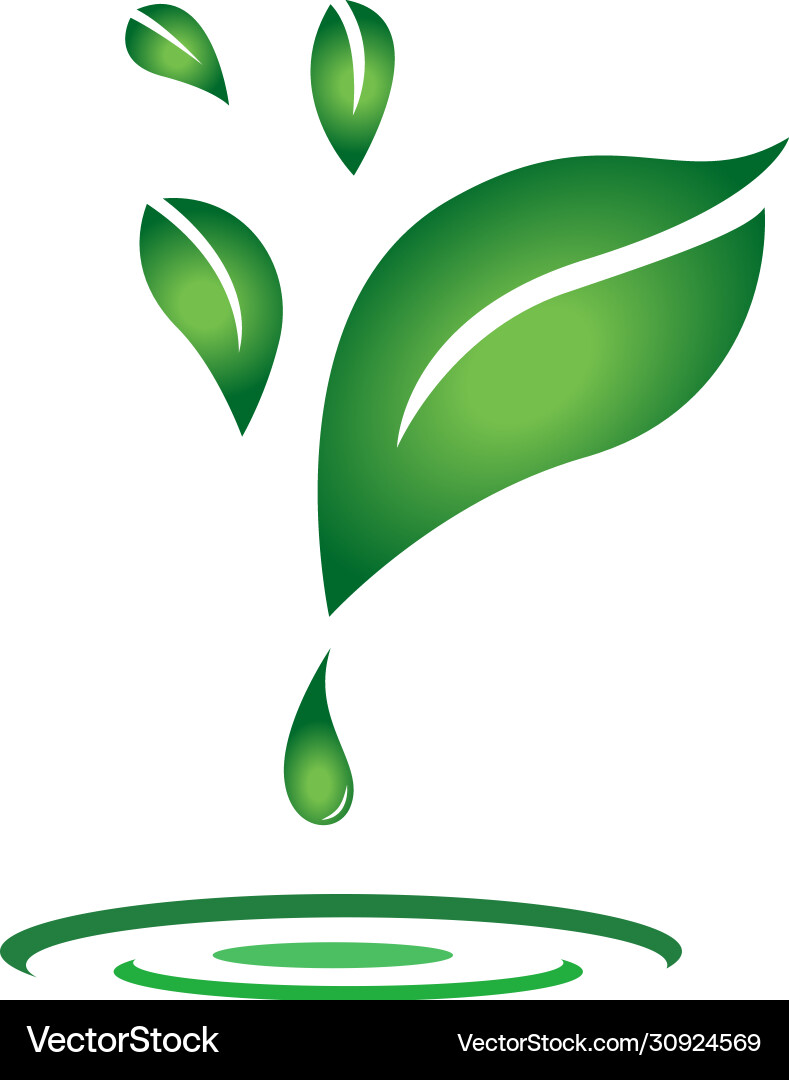 Natural Essential Oil Leaf Drop Royalty Free Vector Image