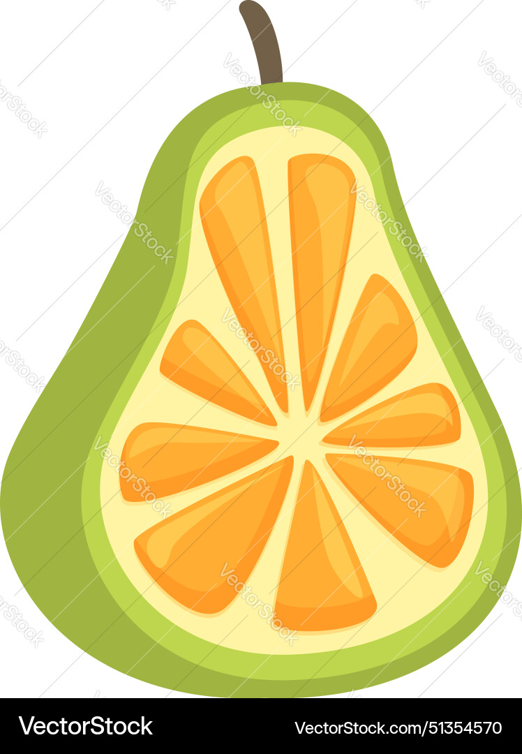 Cross section of citrus pear Royalty Free Vector Image
