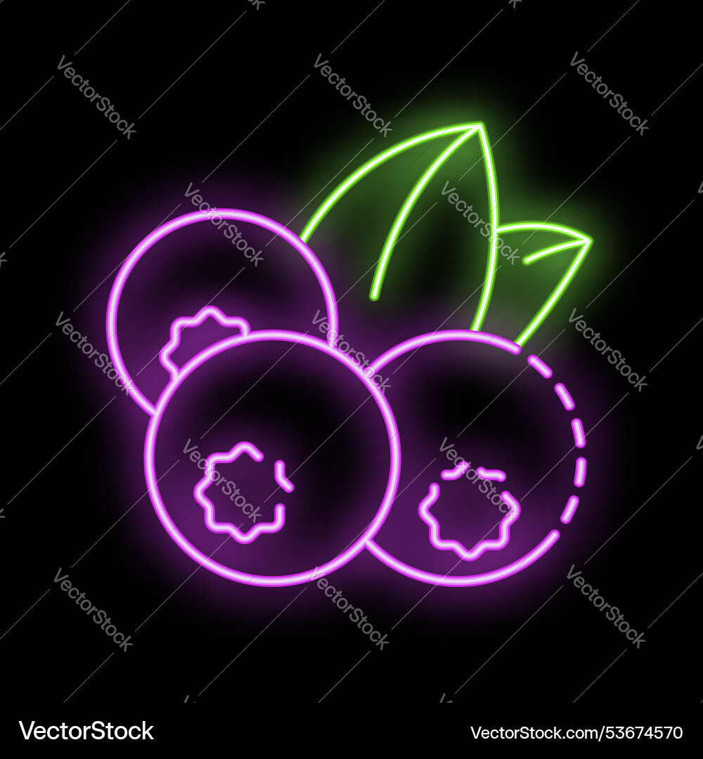 Neon sign depicting three vibrant blueberries Vector Image