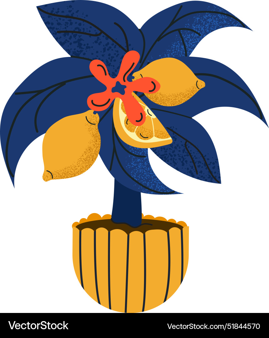 Potted lemon tree Royalty Free Vector Image - VectorStock