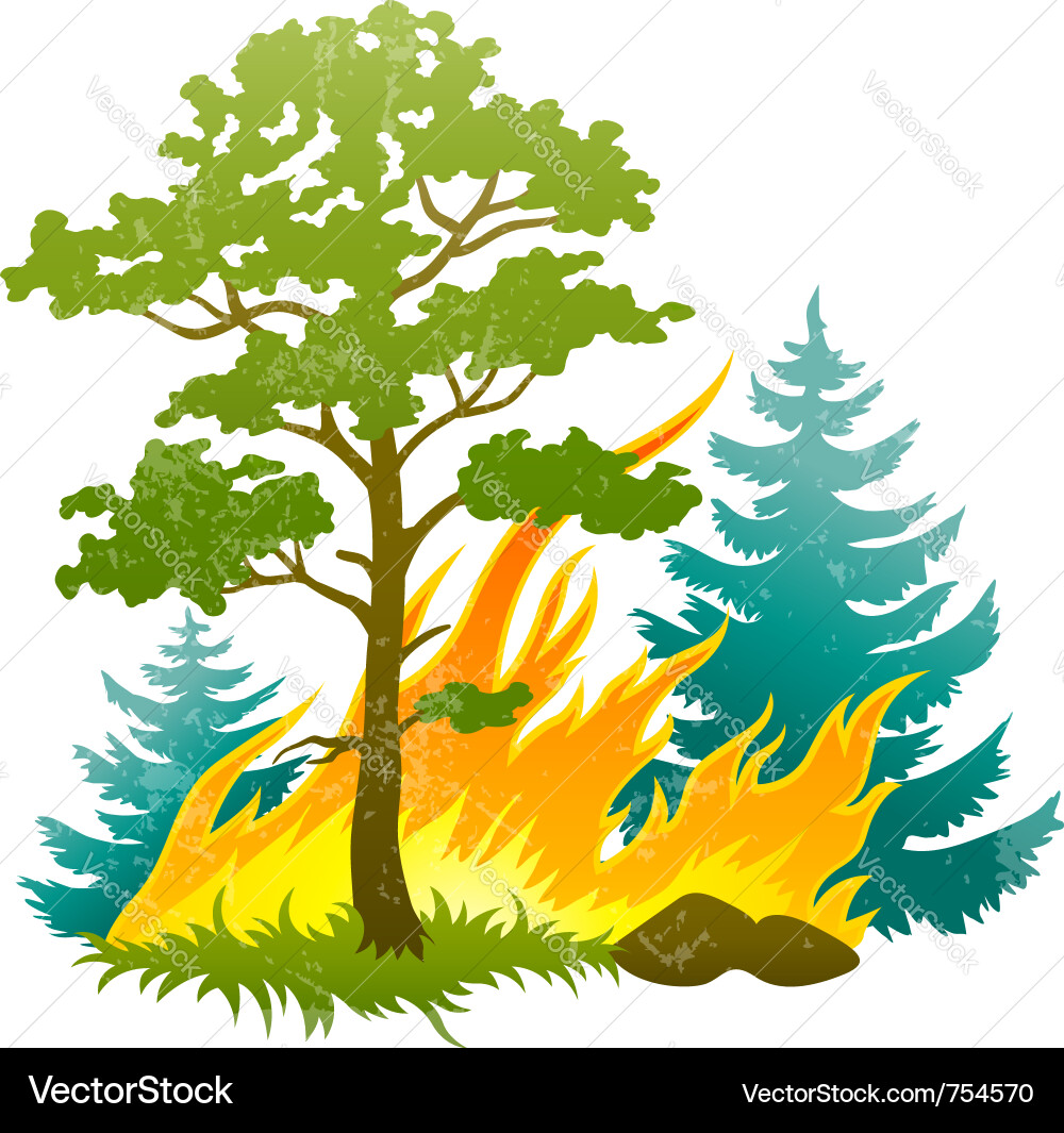 Wildfire disaster Royalty Free Vector Image - VectorStock