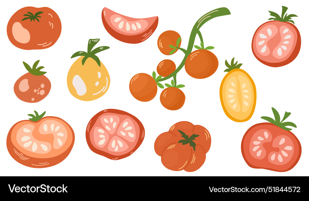 2084 tomato set Royalty Free Vector Image - VectorStock