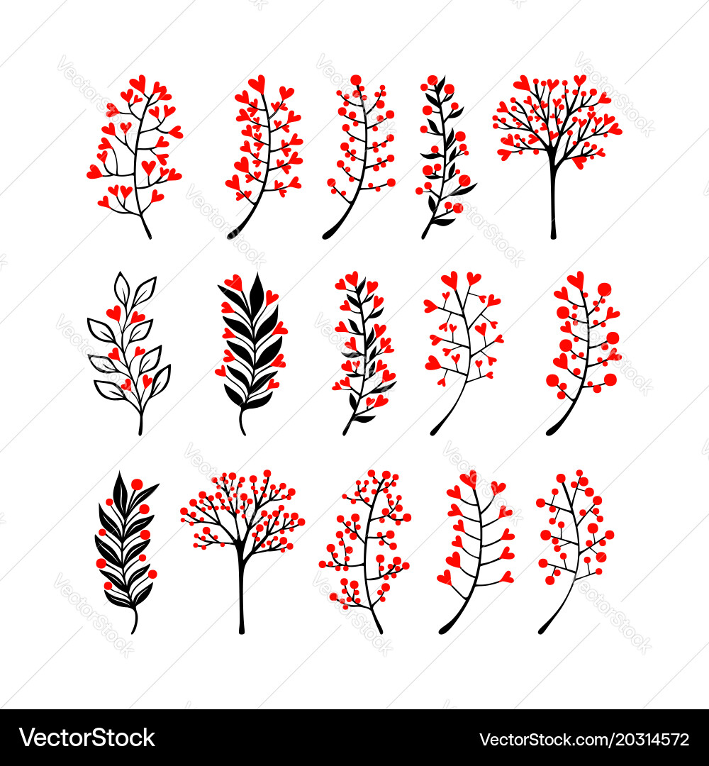 Floral elements in doodle style Royalty Free Vector Image