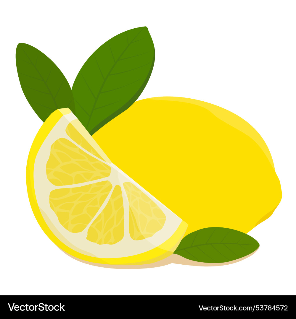 Realistic fresh lemon with leaves isolated Vector Image