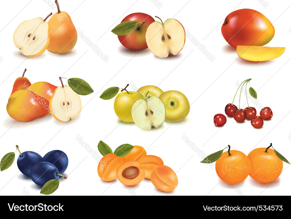 Big group of different fruit Royalty Free Vector Image