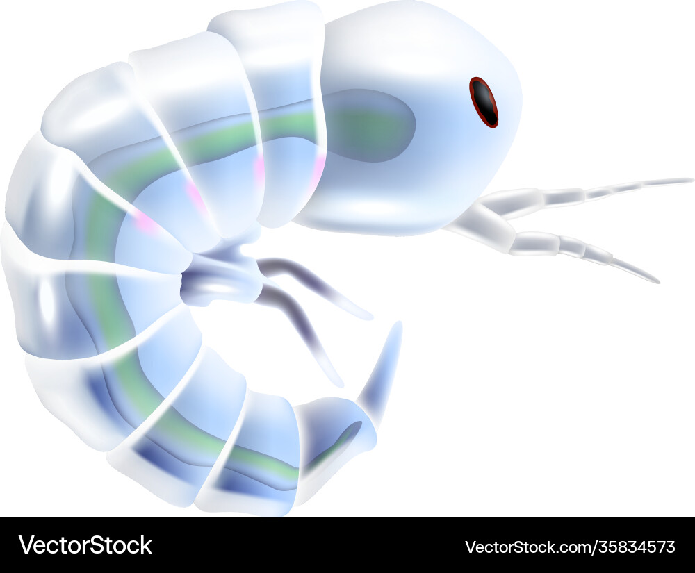 Krill plankton icon Royalty Free Vector Image - VectorStock