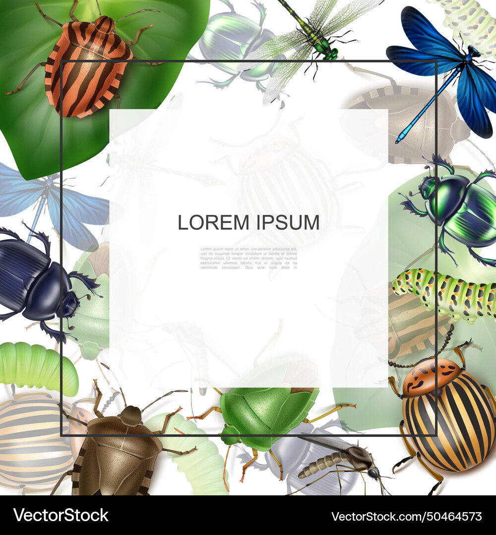 Realistic macro insects template Royalty Free Vector Image
