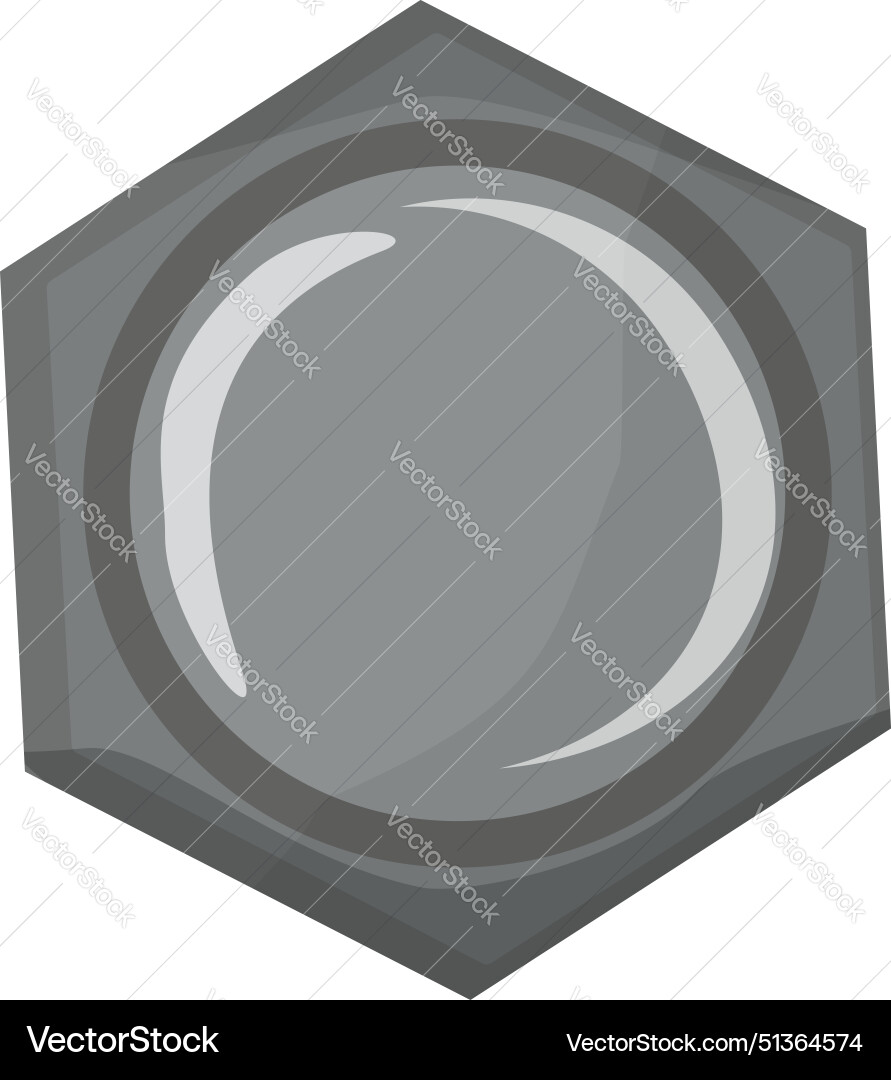 Octagonal blank vintage mirror Royalty Free Vector Image