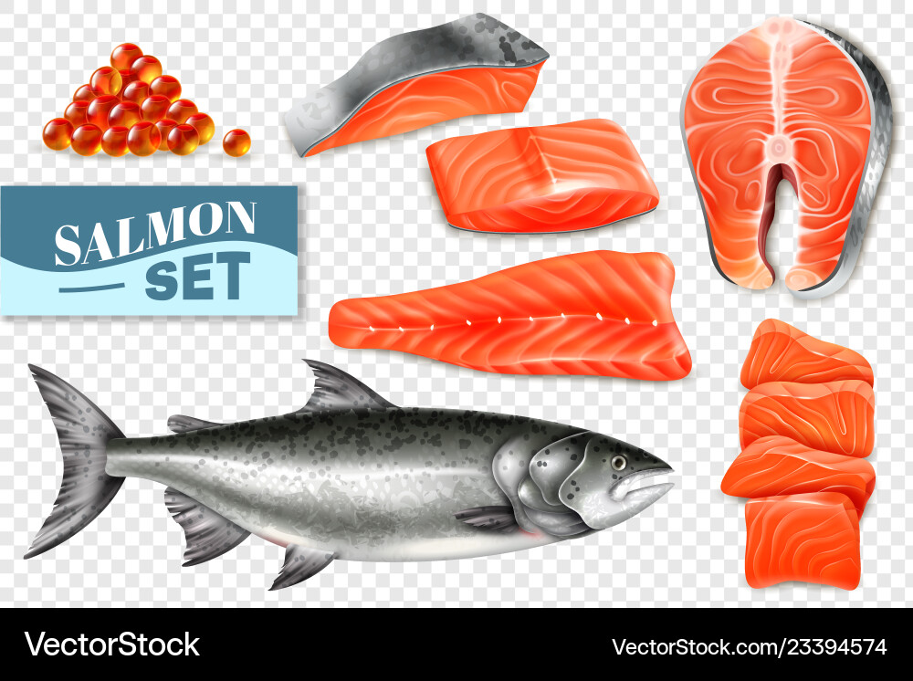 Realistic salmon set Royalty Free Vector Image