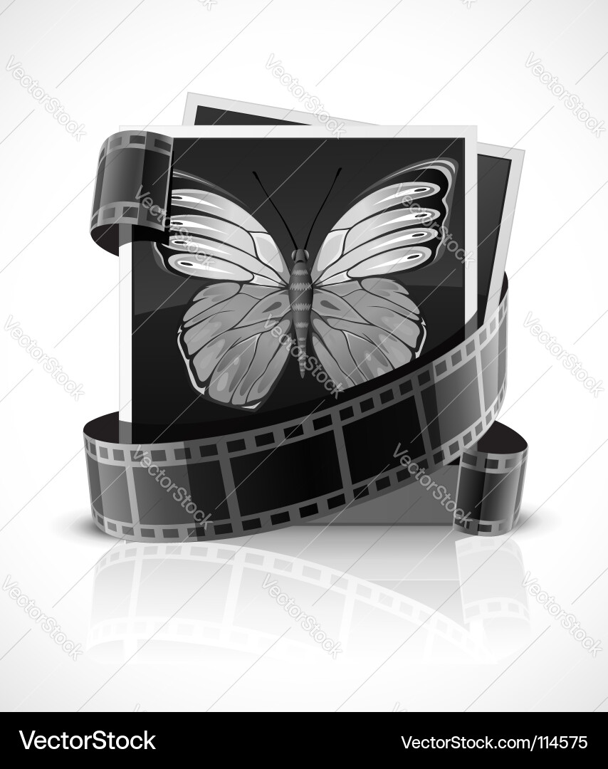 Photo logo Royalty Free Vector Image - VectorStock