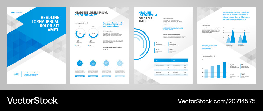 Presentation template design with infographic Vector Image