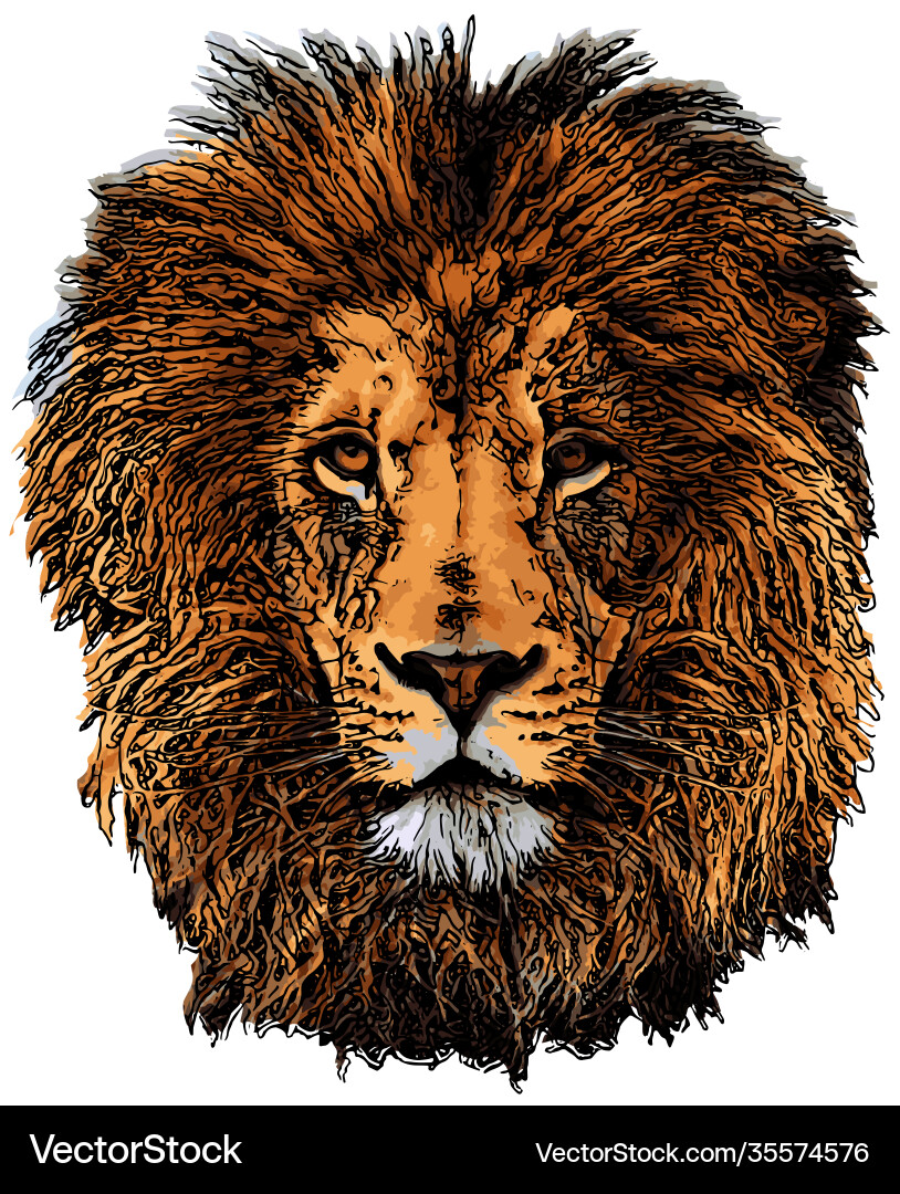 Lion head Royalty Free Vector Image - VectorStock
