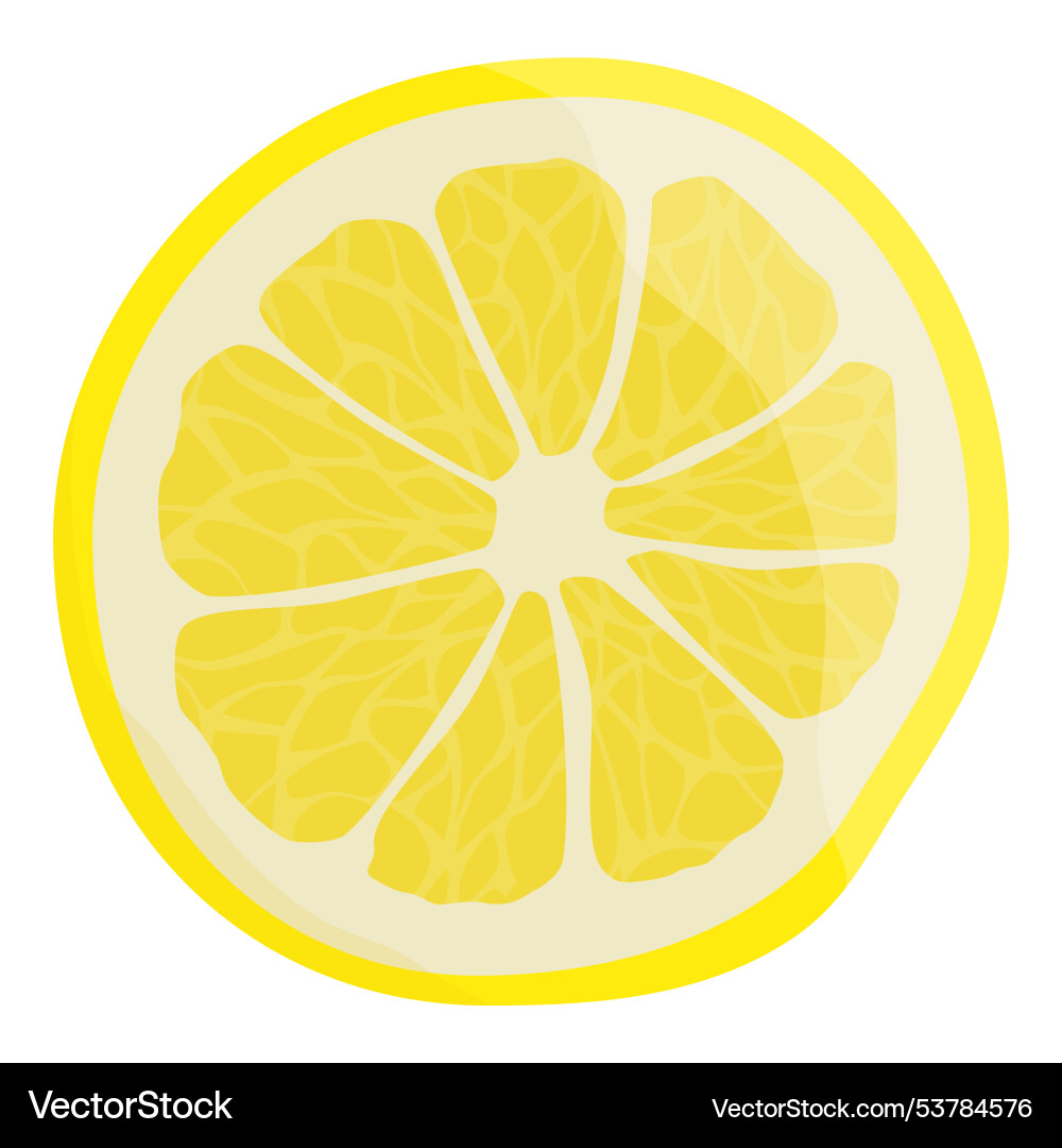 Realistic fresh lemon slice Royalty Free Vector Image