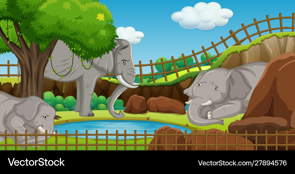 Scene with elephants at zoo Royalty Free Vector Image