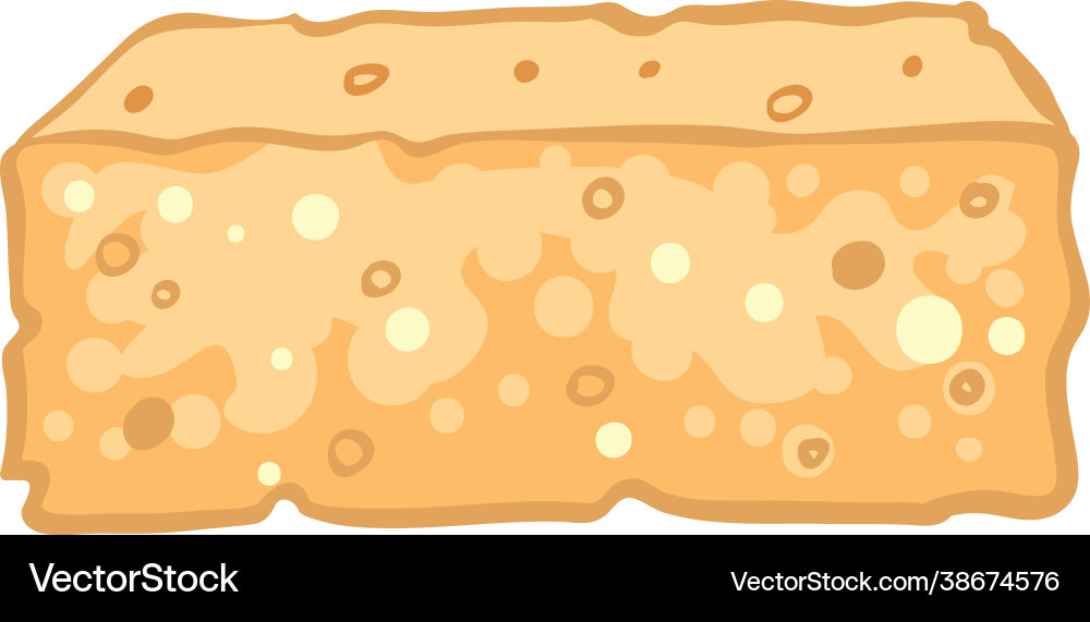 Sponge in cartoon style isolated on white Vector Image