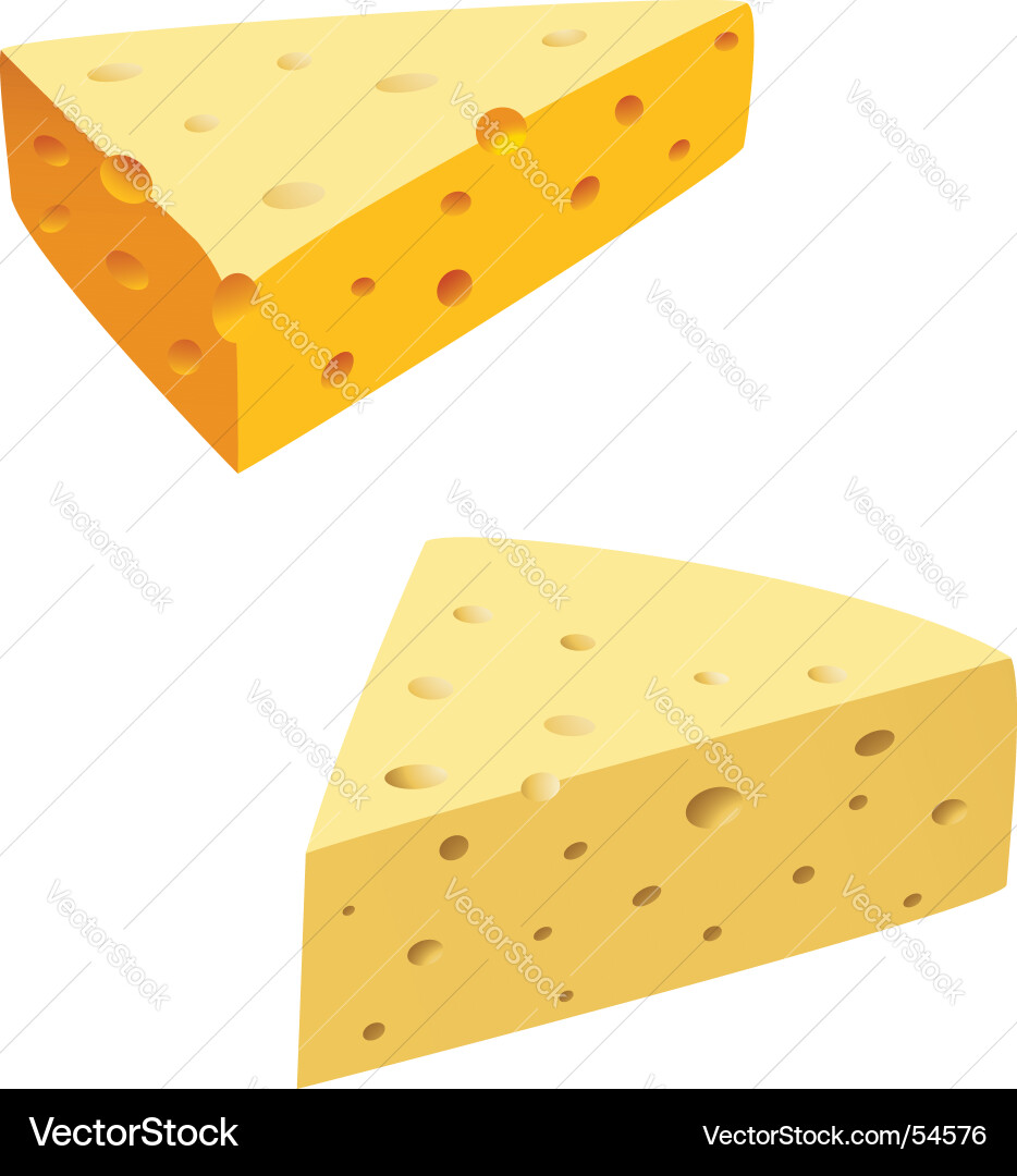 Swiss cheese Royalty Free Vector Image - VectorStock