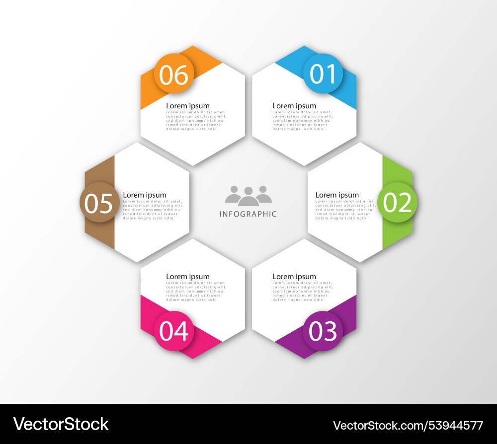 6 steps polygon infographic design Royalty Free Vector Image