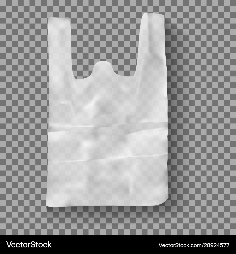 Bag Royalty Free Vector Image - VectorStock