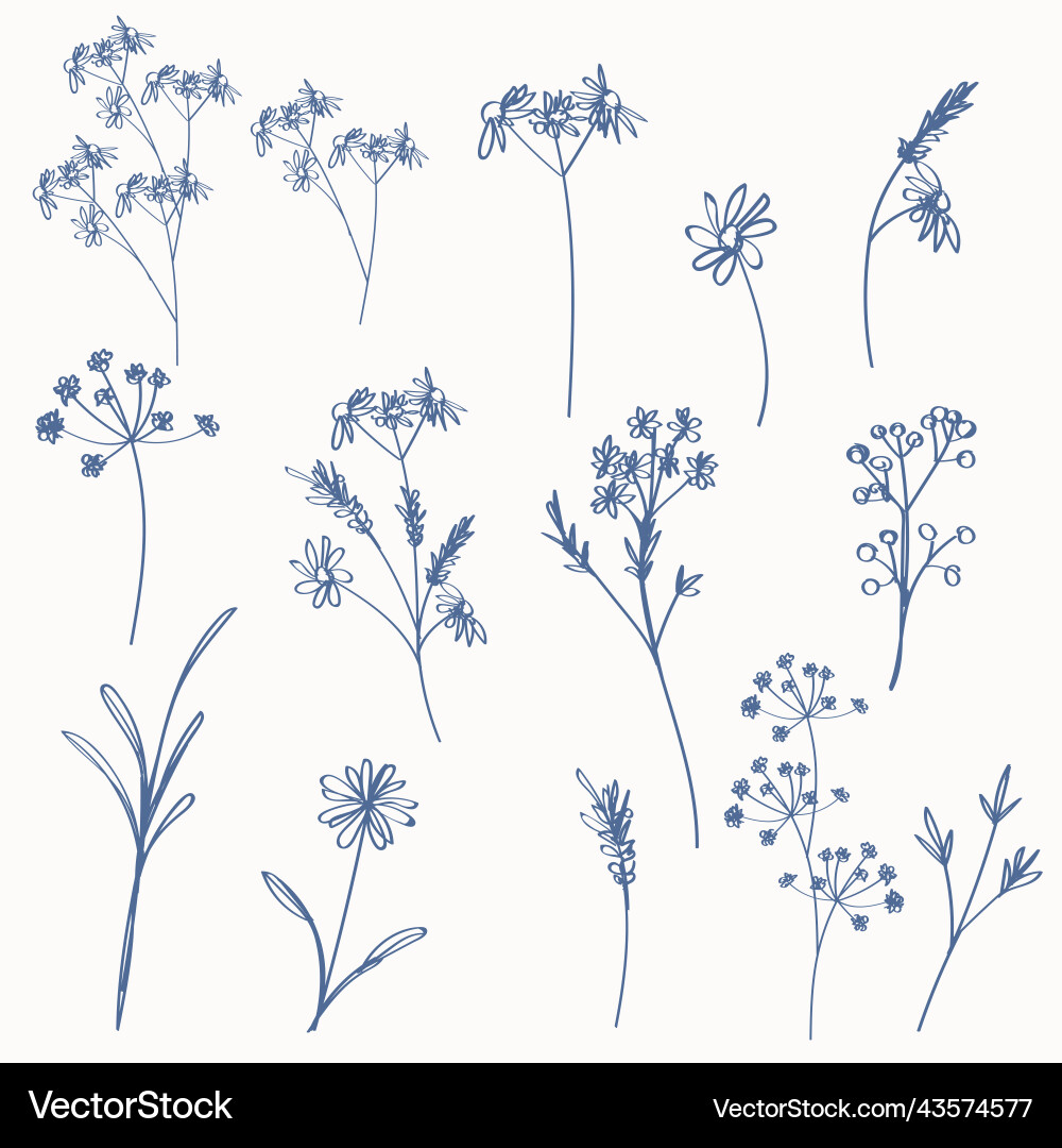 Set of rustic hand drawn simple plants for design Vector Image
