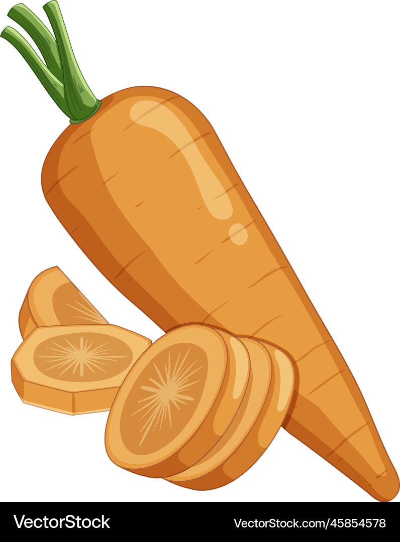 Carrot cartoon style isolated Royalty Free Vector Image