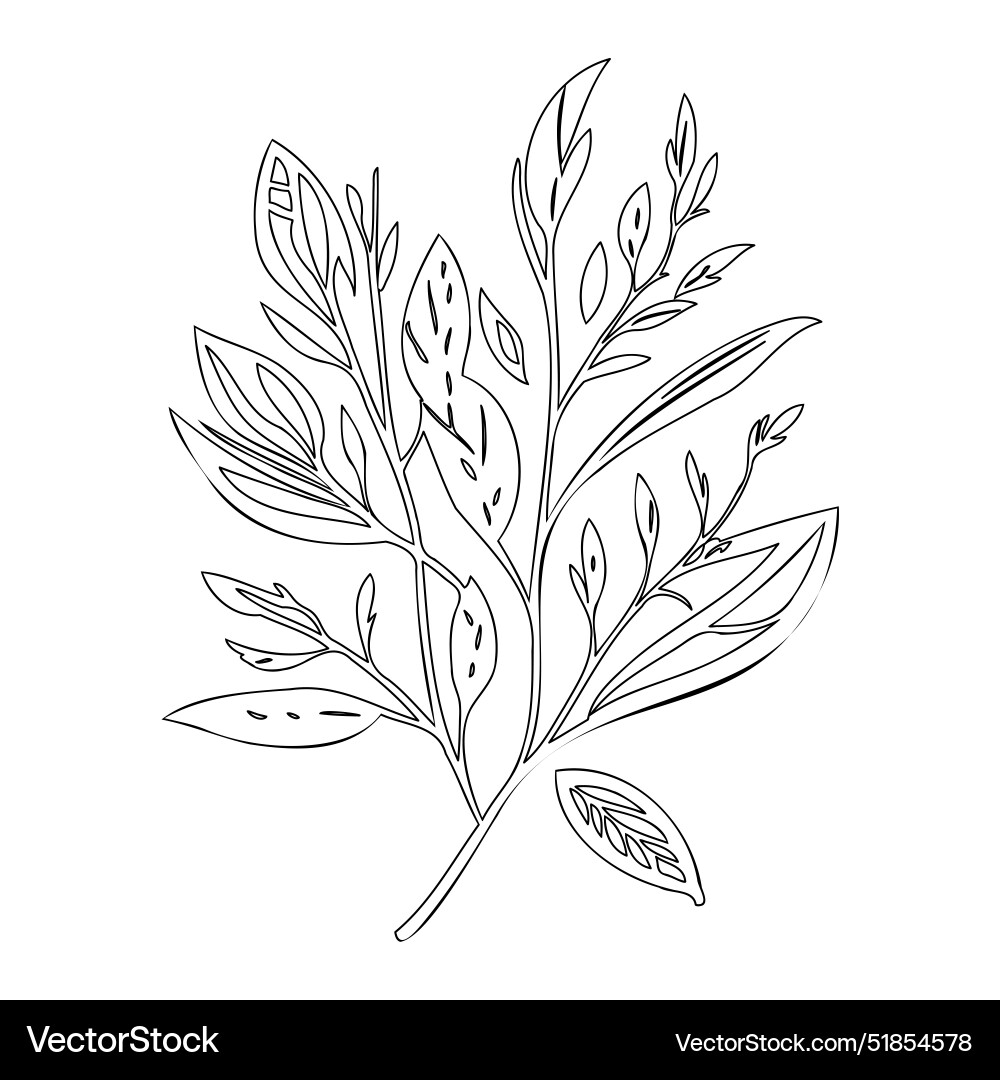 Parallel leaf floral outline sketch Royalty Free Vector