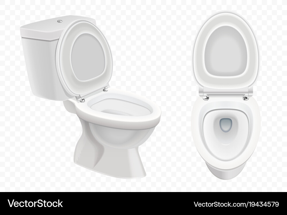 Realistic toilet bowl mockup 3d white Royalty Free Vector