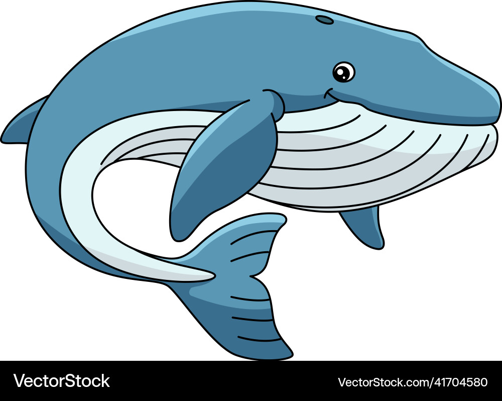 Whale Clipart