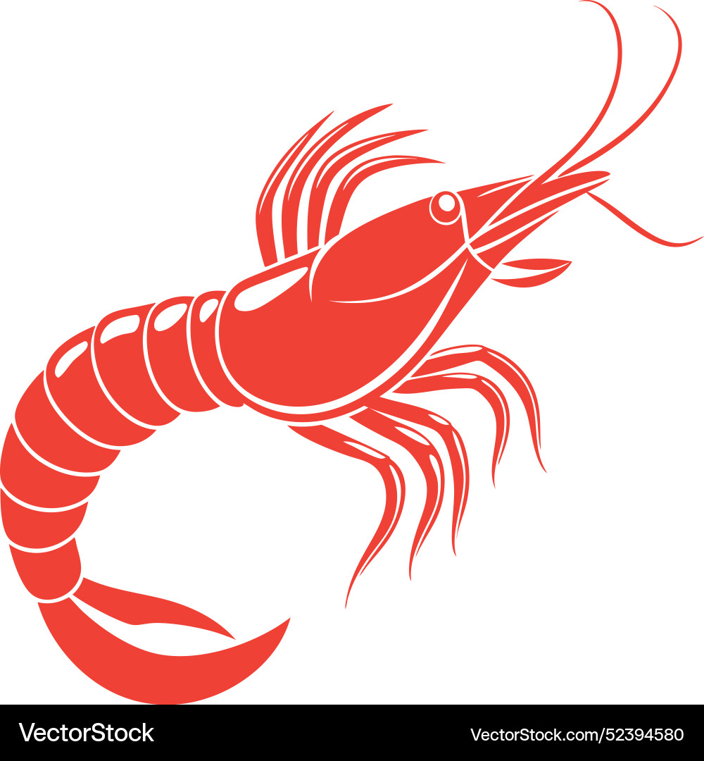 Chingri Royalty Free Vector Image - VectorStock