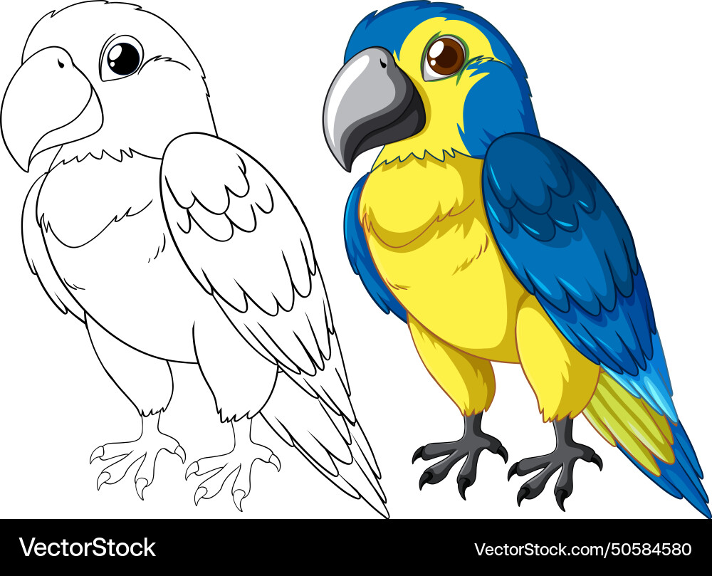 Parrot Outline Drawing