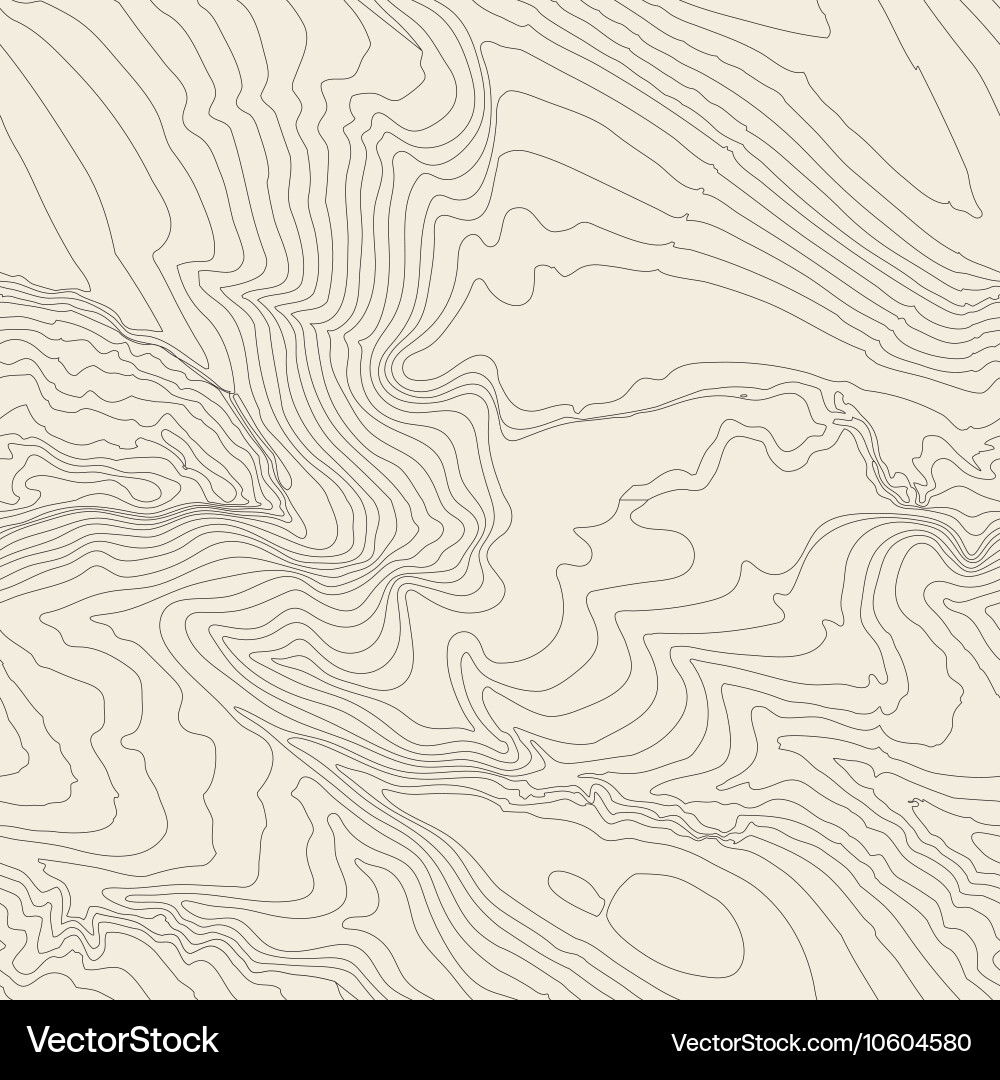Topographic Map Background Royalty Free Vector Image
