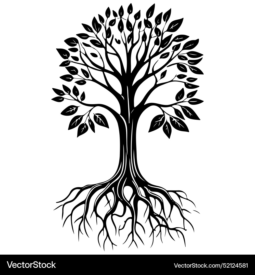 Roots drawing vintage line image Royalty Free Vector Image