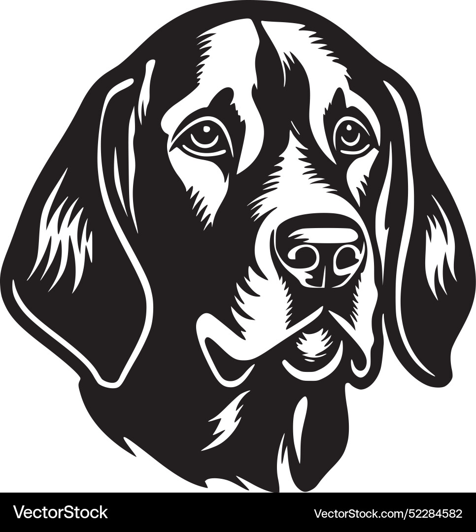 Labrador retriever - high quality logo - ideal Vector Image
