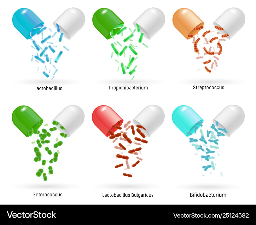 Probiotic Capsules Set - Diverse Bacteria Vector Image