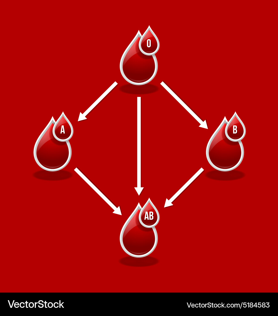 Red Blood Type Compatibility Chart Royalty Free Vector Image