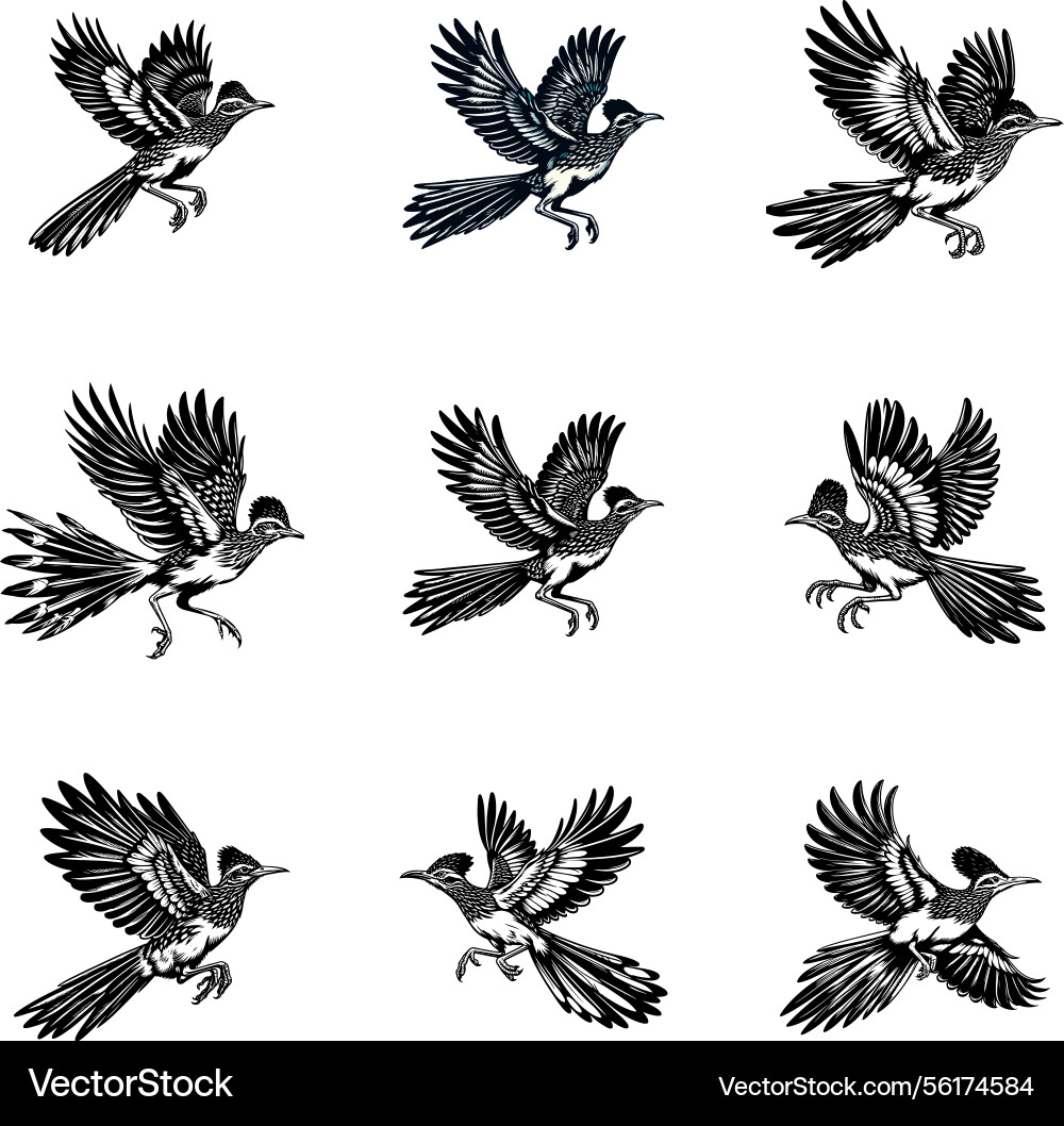 Flying roadrunner over desert scene line art vec Vector Image