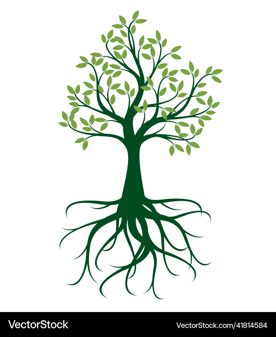 Green tree Royalty Free Vector Image - VectorStock