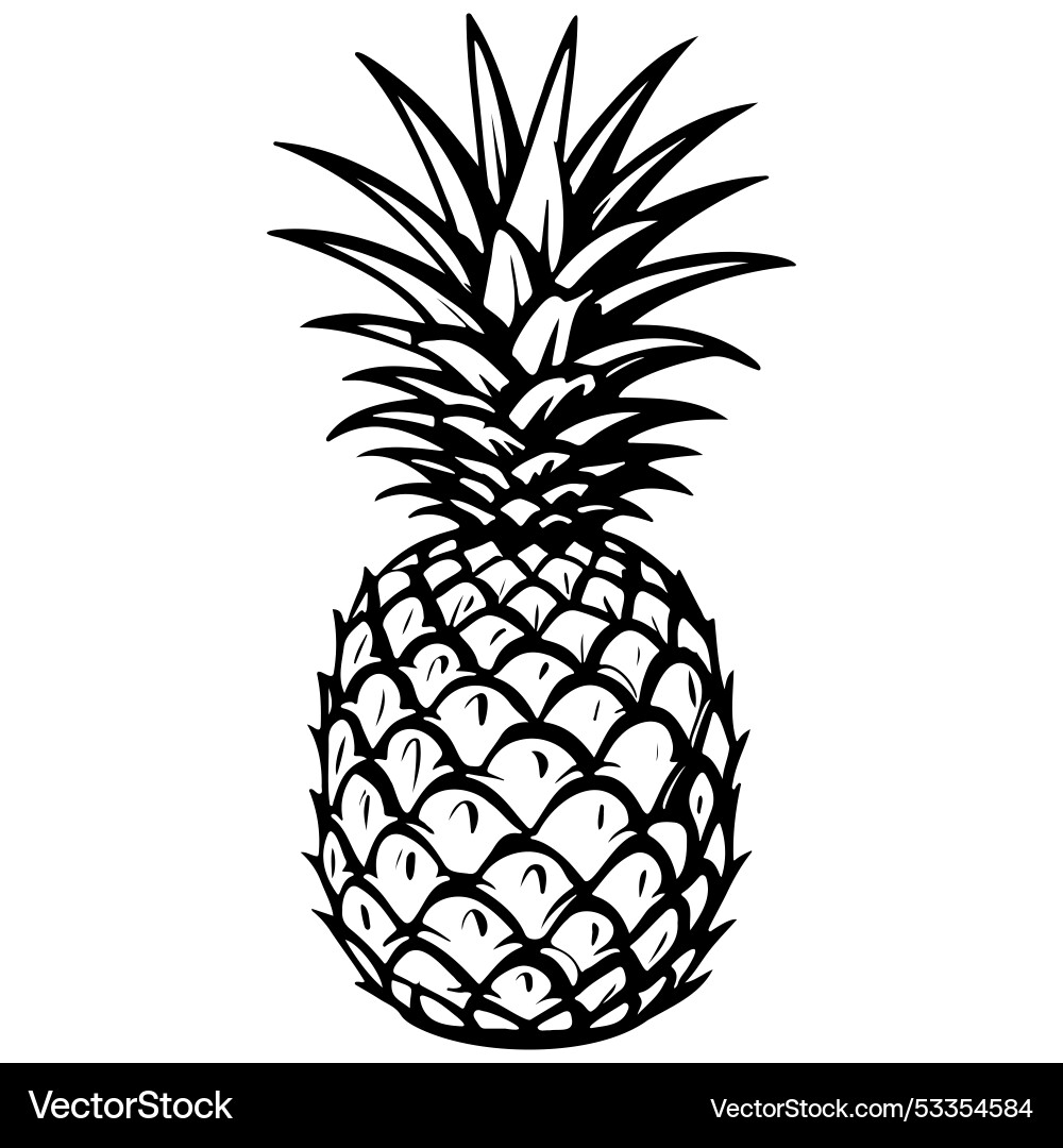 Line cartoon pineapple drawing head art Royalty Free Vector