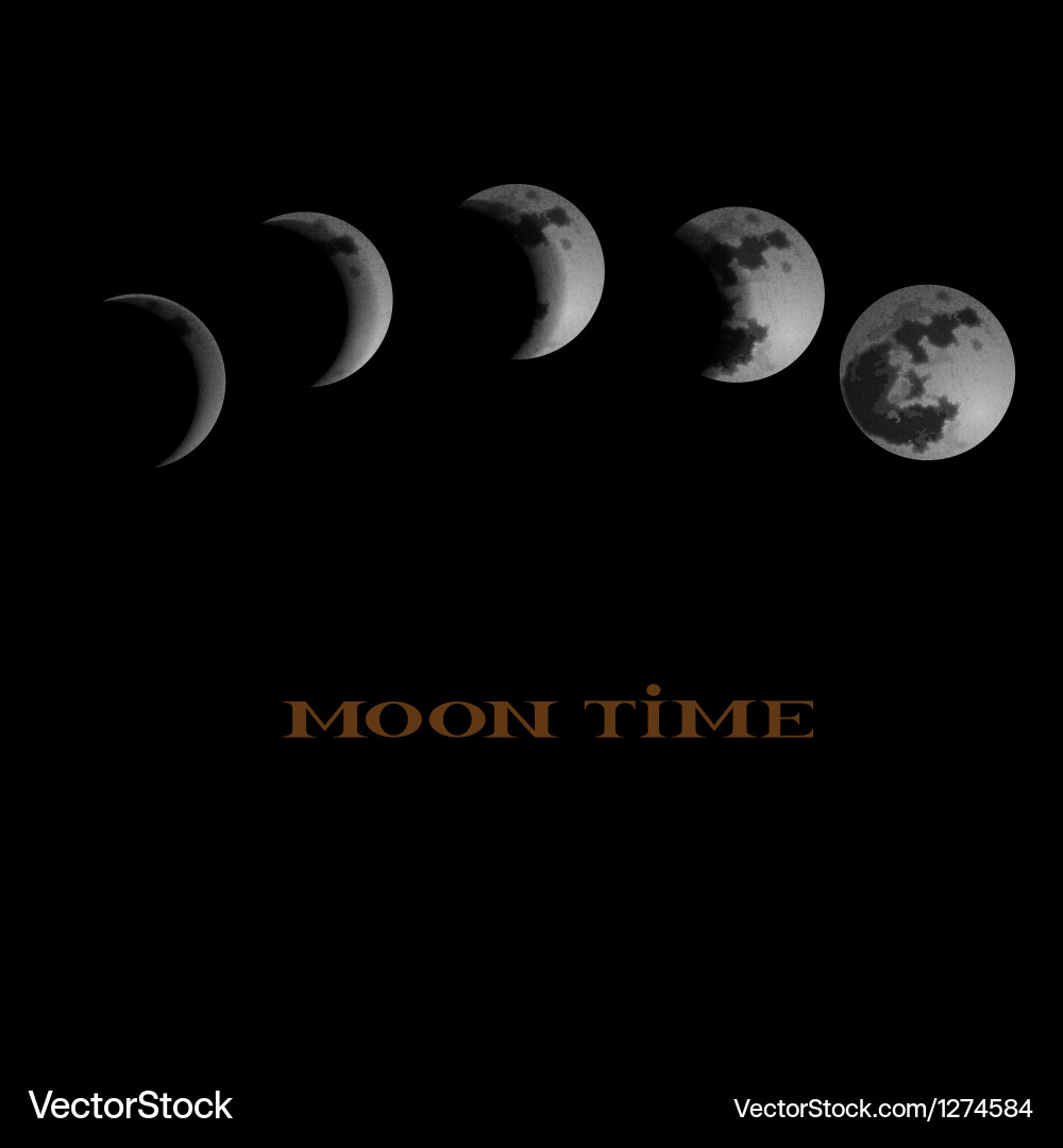 Moon Royalty Free Vector Image - VectorStock