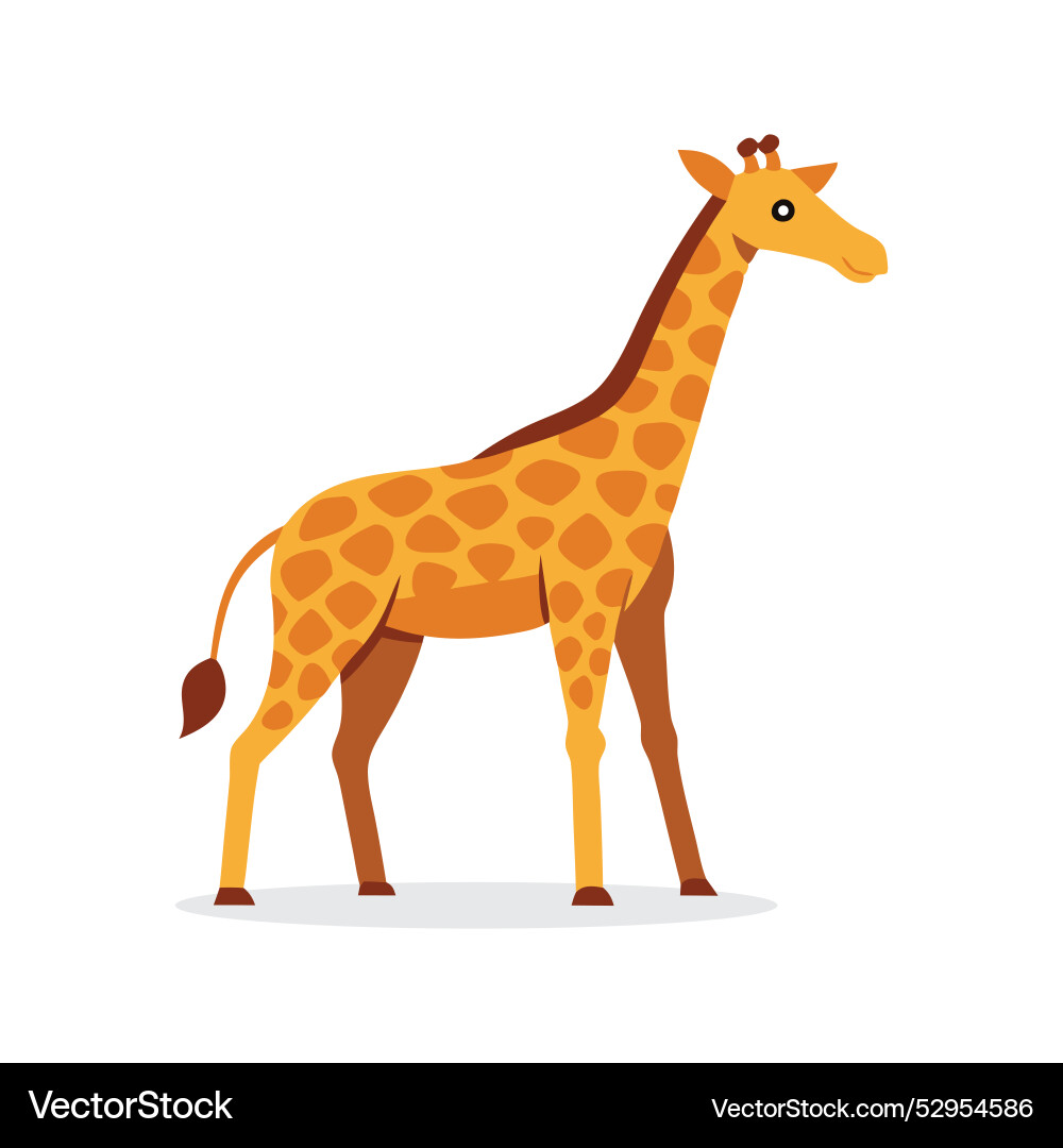 Giraffe animal isolated flat on white background Vector Image
