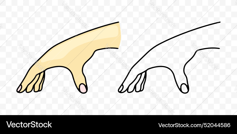 Hand wrist touches and touching graphic design Vector Image